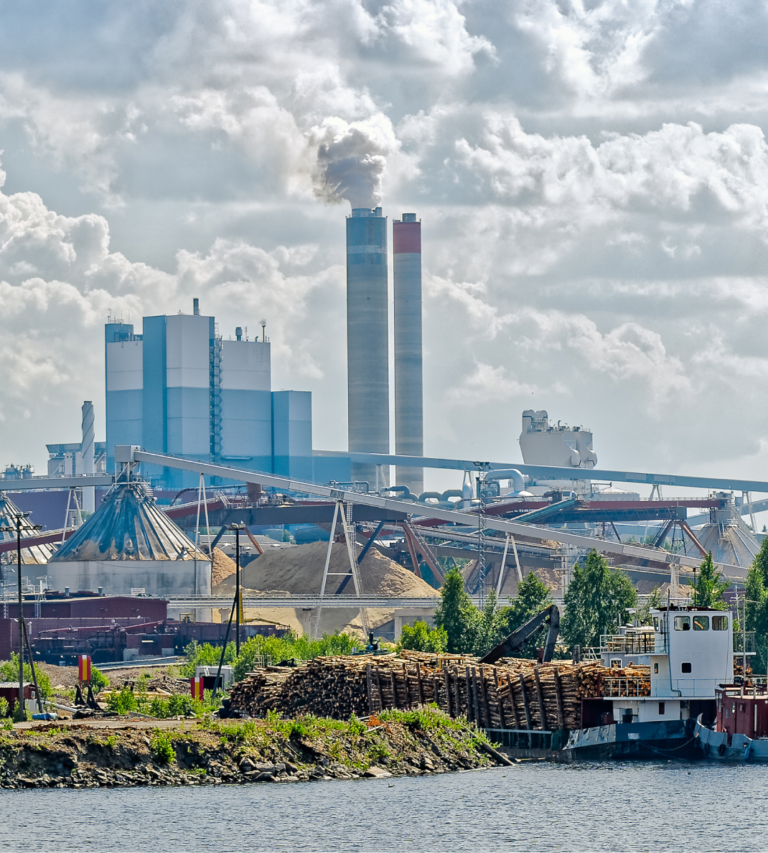 About Us - REXA, Inc.